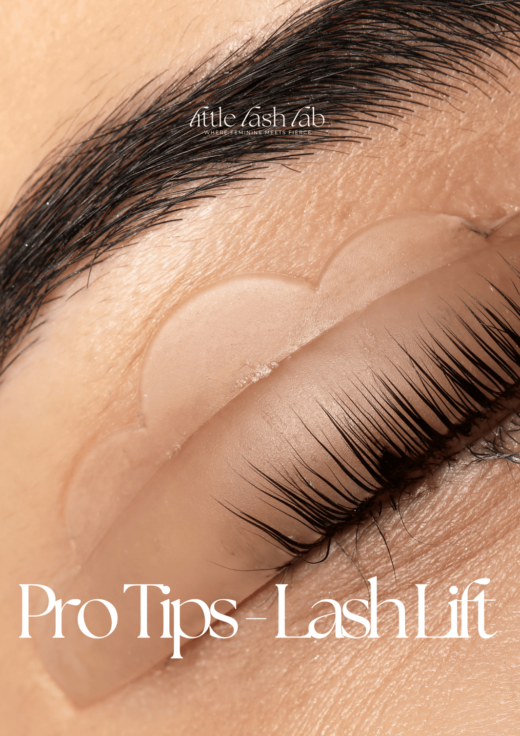 Products – Little Lash Lab